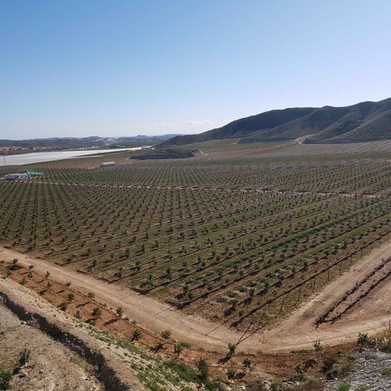 Antes y después de un campo ecológico