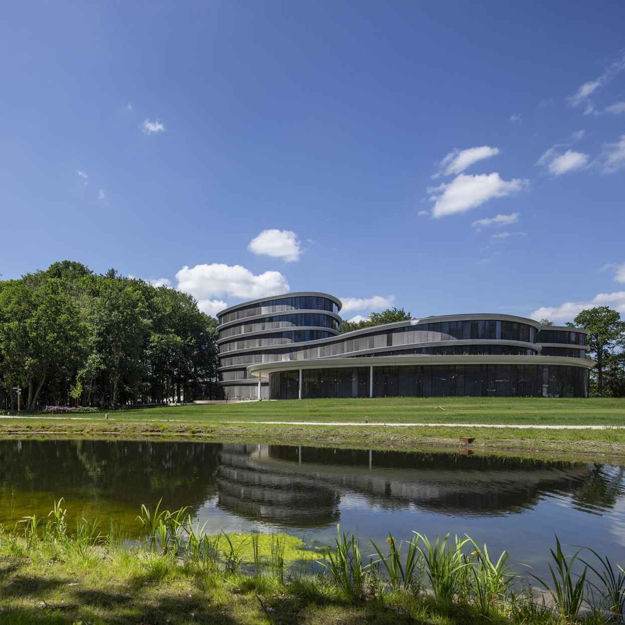 Nueva estrategia de capital: un paso adelante en la evolución de ...