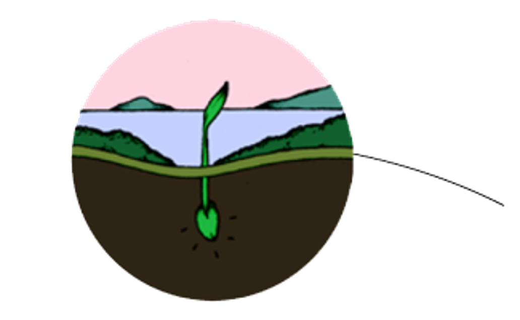 Línea del tiempo de Triodos Bank: nuestra historia