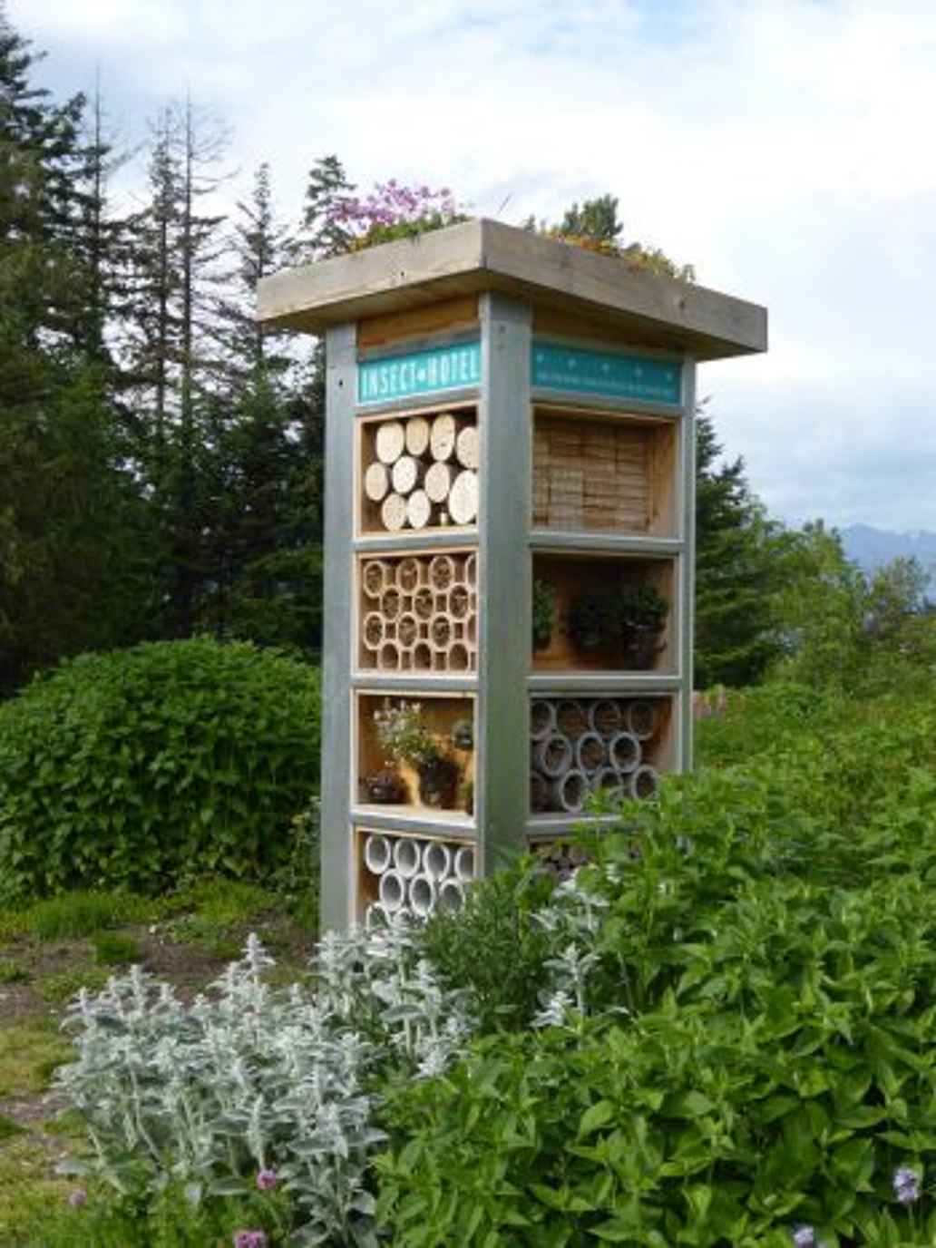 ¿Un hotel de insectos?